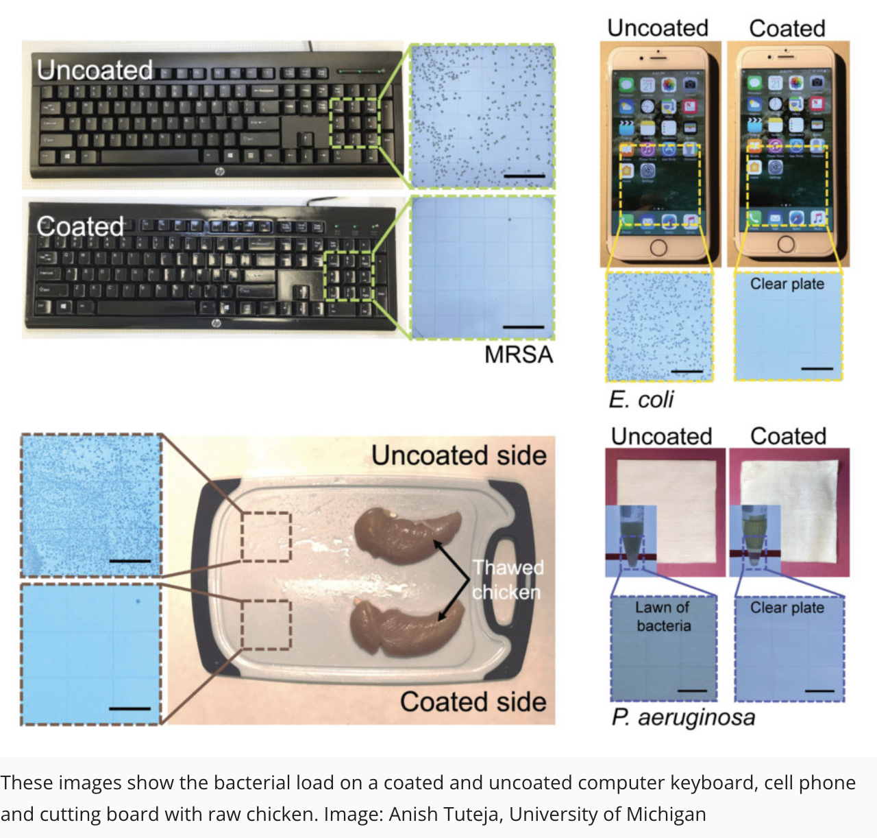 Home [mse.engin.umich.edu]